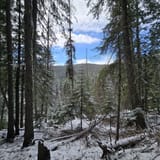 Mount Kit Carson Trail, Washington - 968 Reviews, Map | AllTrails