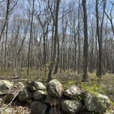 Bluff Point State Park and Coastal Reserve Loop, Connecticut - 3,928 ...