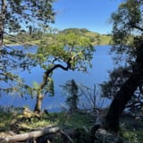 Bon Tempe Lake Loop, California - 2,083 Reviews, Map | AllTrails