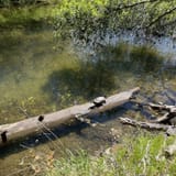 Bon Tempe Lake Loop, California - 2,083 Reviews, Map | AllTrails