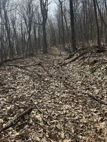 Best Views Trails In Gilboa Alltrails