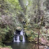Cataract Falls Trail, California - 3,661 Reviews, Map | AllTrails