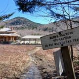 Mount Tom, Mount Field, Mount Willey and Mount Avalon Trail, New ...