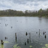 Pufferbelly Trail, Indiana - 459 Reviews, Map | AllTrails