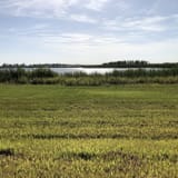 Panther Point Trail, Florida - 209 Reviews, Map | AllTrails