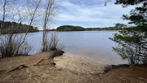 Best Hikes and Trails in Massasoit State Park | AllTrails