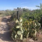 Prospector's View Trail, Arizona - 892 Reviews, Map | AllTrails