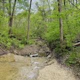 Limestone Gorge Loop, Kentucky - 631 Reviews, Map | AllTrails