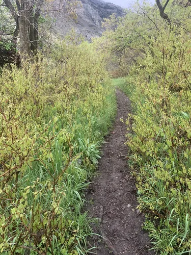 Best River Trails in Mutual Dell | AllTrails