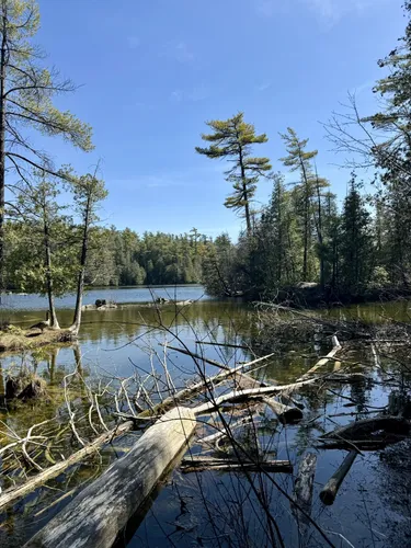 Best Hikes and Trails in Rockwood Conservation Area | AllTrails