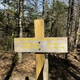 Mount Morgan and Mount Percival Loop, New Hampshire - 3,522 Reviews ...