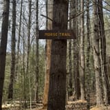 Mount Morgan and Mount Percival Loop, New Hampshire - 3,522 Reviews ...