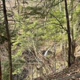 Mount Greylock via Bellows Pipe Trail, Massachusetts - 2,210 Reviews ...