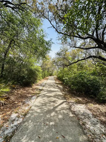 Best Forest Trails in Gulf Breeze | AllTrails