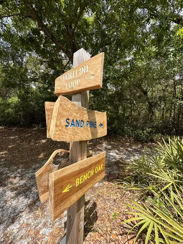 Best Forest Trails in Gulf Breeze | AllTrails