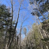 Bondcliff, Mount Bond, and West Bond, New Hampshire - 578 Reviews, Map ...