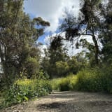 Murphy Ranch Trail , California - 1,495 Reviews, Map | AllTrails
