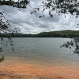 Lake Blue Ridge Loop , Georgia - 821 Reviews, Map | AllTrails