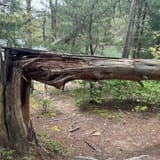 Lake Blue Ridge Loop , Georgia - 821 Reviews, Map | AllTrails