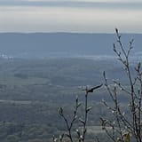 Pulpit Rock and Pinnacle Loop, Pennsylvania - 3,622 Reviews, Map ...
