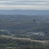 Pulpit Rock and Pinnacle Loop, Pennsylvania - 3,622 Reviews, Map ...