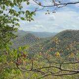 John Rock Trail Loop, North Carolina - 2,334 Reviews, Map | AllTrails