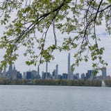 Central Park East and West Drive Loop, New York - 3,583 Reviews, Map ...