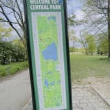 Central Park East and West Drive Loop, New York - 3,583 Reviews, Map ...