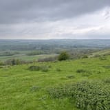Wye and the North Downs Circular Walk, Kent, England - 656 Reviews, Map ...
