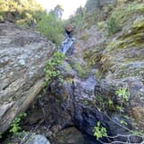 Stevens Trail, California - 4,661 Reviews, Map | AllTrails