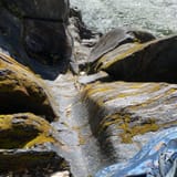 Stevens Trail, California - 4,676 Reviews, Map | AllTrails