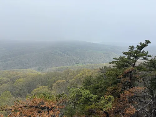 Best Forest Trails in Lost River State Park | AllTrails