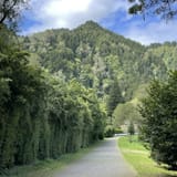Furnas Lagoon Trail, Azores, Portugal - 300 Reviews, Map | AllTrails