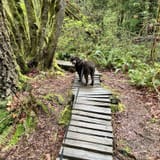 Woodland Plateau and Lloyd Trail Loop, Washington - 1,018 Reviews, Map ...