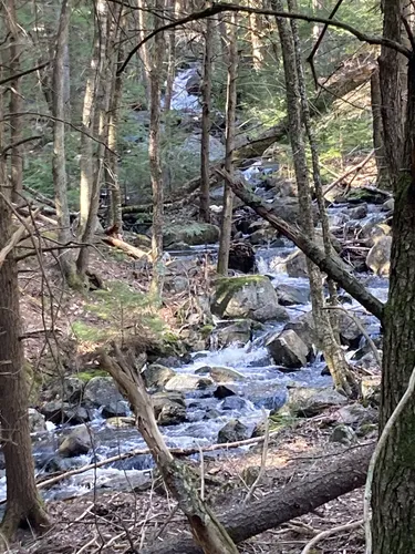 Best Snowshoeing Trails in Bear Brook State Park | AllTrails
