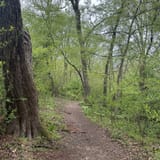 Speedwell Forge Hiking Trail, Pennsylvania - 1,098 Reviews, Map | AllTrails