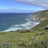 Tomales Point Trail, California - 6,564 Reviews, Map | AllTrails