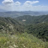 Beaudry Loop, California - 5,059 Reviews, Map | AllTrails