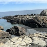 Marginal Way, Maine - 1,659 Reviews, Map | AllTrails