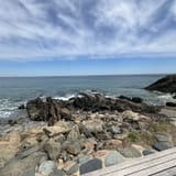 Marginal Way, Maine - 1,659 Reviews, Map | AllTrails