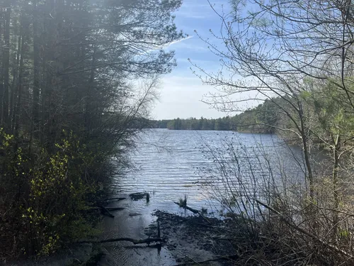 Best Hikes and Trails in Massasoit State Park | AllTrails