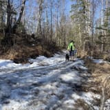Scout Ridge Trail, Alaska - 280 Reviews, Map | AllTrails