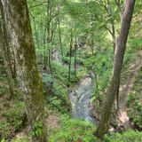Winding Stairs Loop, Tennessee - 770 Reviews, Map | AllTrails