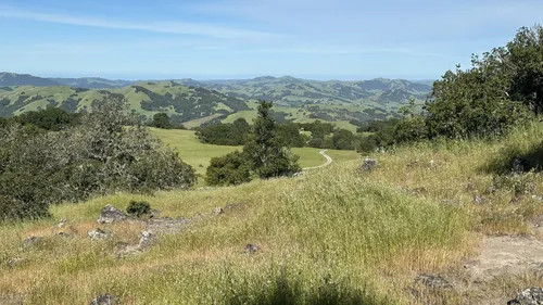 Best Views Trails in Mount Burdell Open Space Preserve | AllTrails