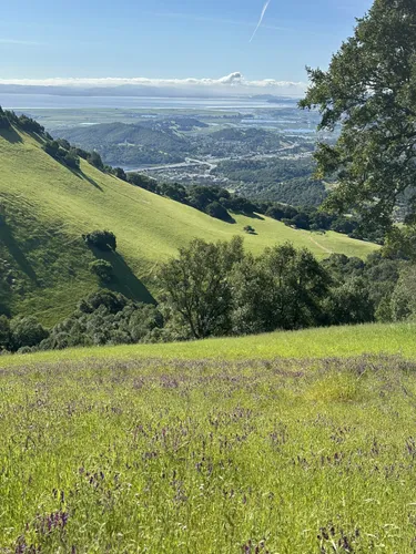 Best Views Trails in Mount Burdell Open Space Preserve | AllTrails