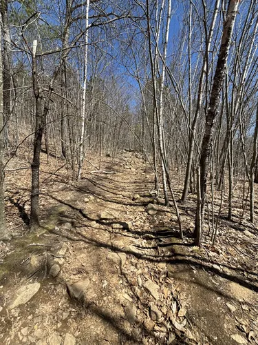 Best Mountain Biking Trails in Mount Agamenticus Conservation Region ...