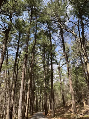 Best Easy Trails in Breakheart Reservation | AllTrails