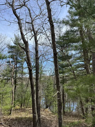 Best Easy Trails in Breakheart Reservation | AllTrails