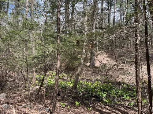 Best Easy Trails in Breakheart Reservation | AllTrails