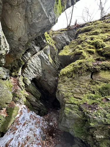 Best Forest Trails in Taconic Ridge State Forest | AllTrails